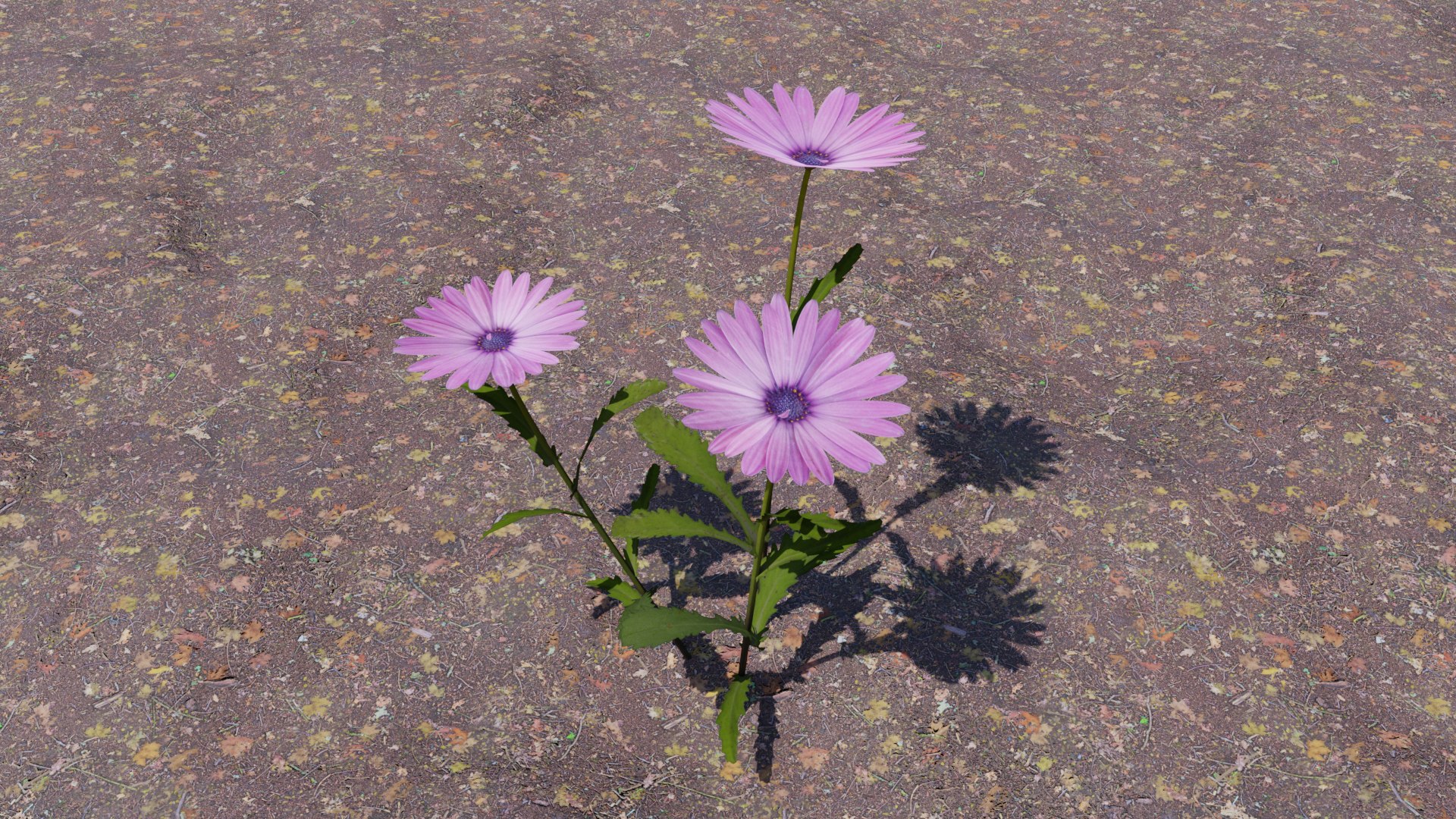 Flowering Plants Collection 3D Model - TurboSquid 2050817