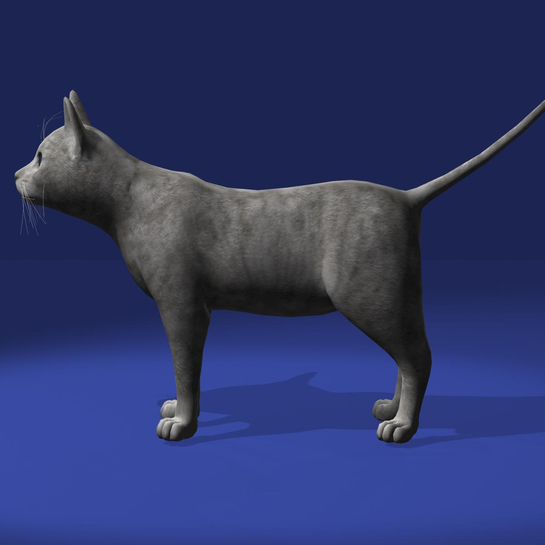3d Model Cat Fur