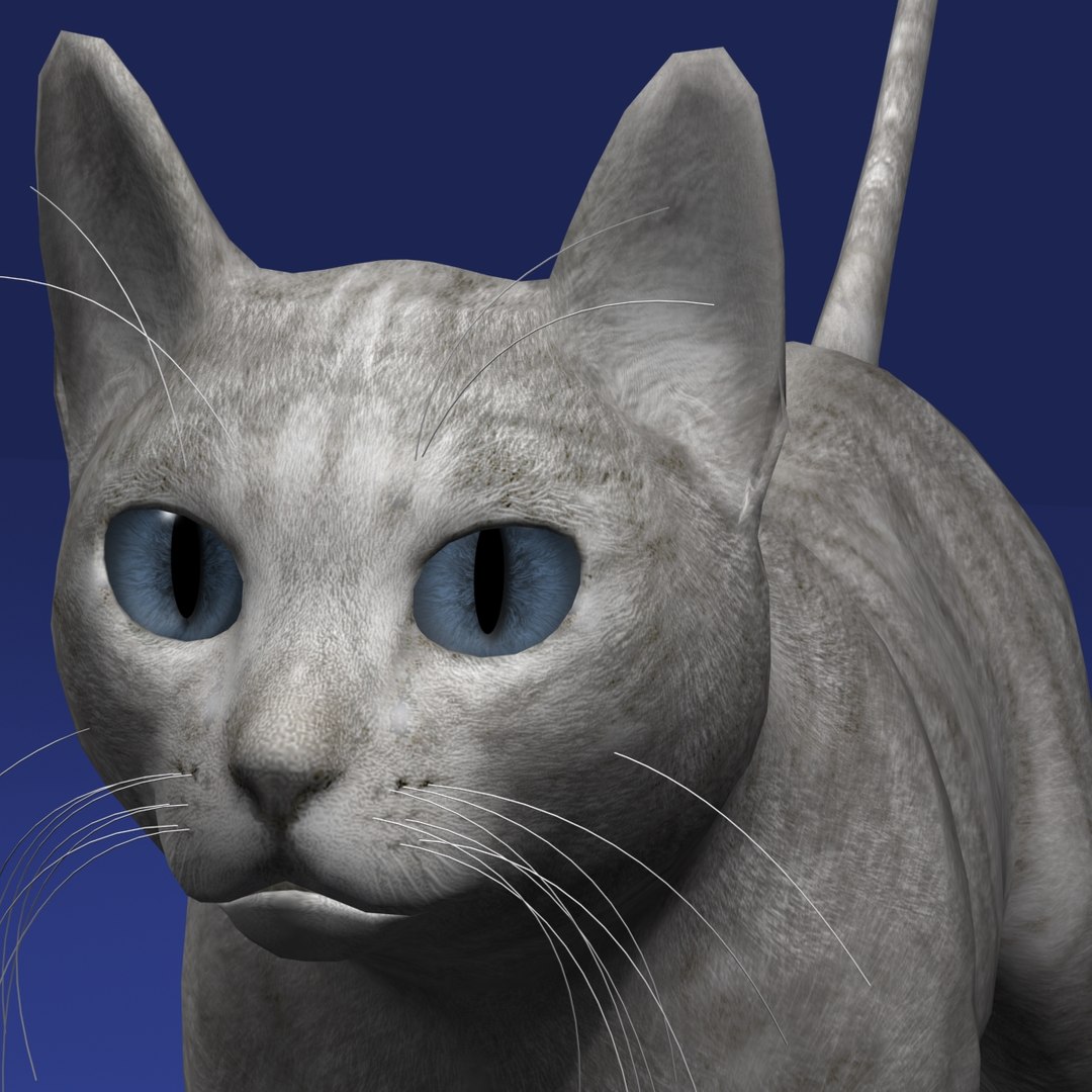 3d Model Cat Fur