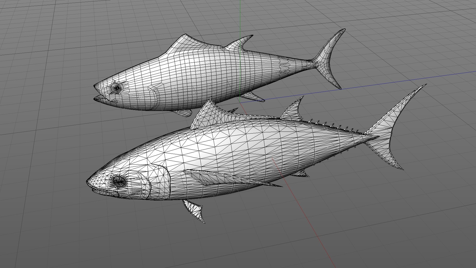 Tuna Fish 3D Model - TurboSquid 1690044