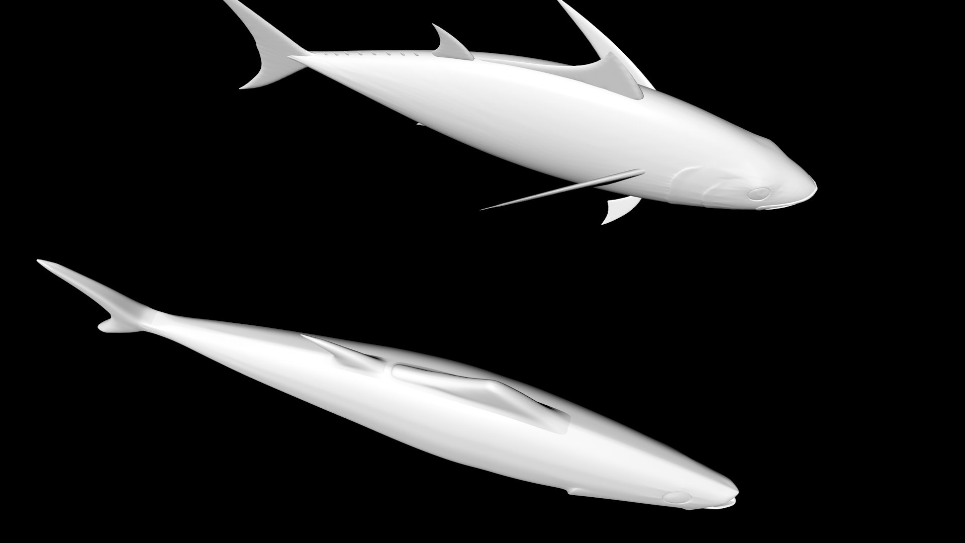 Tuna Fish 3D Model - TurboSquid 1690044