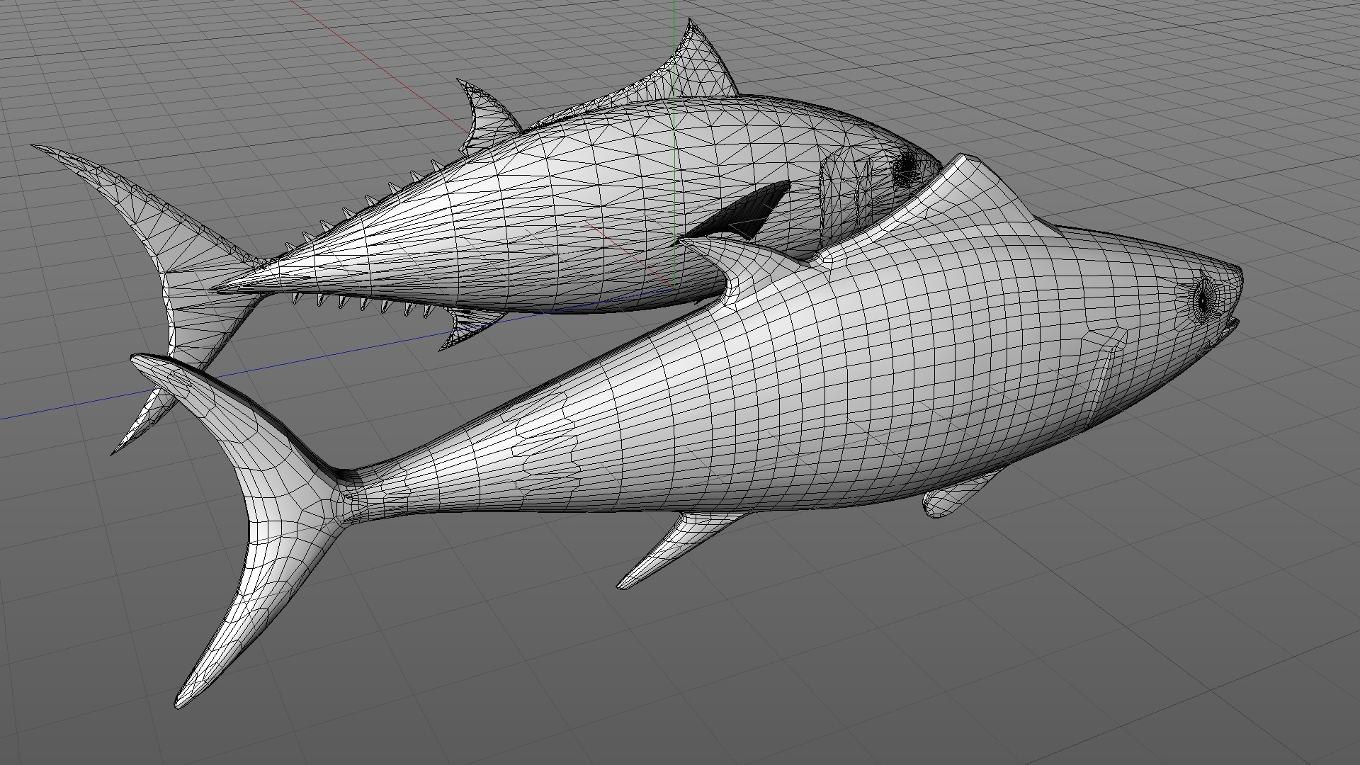 Tuna fish 3D model - TurboSquid 1690044