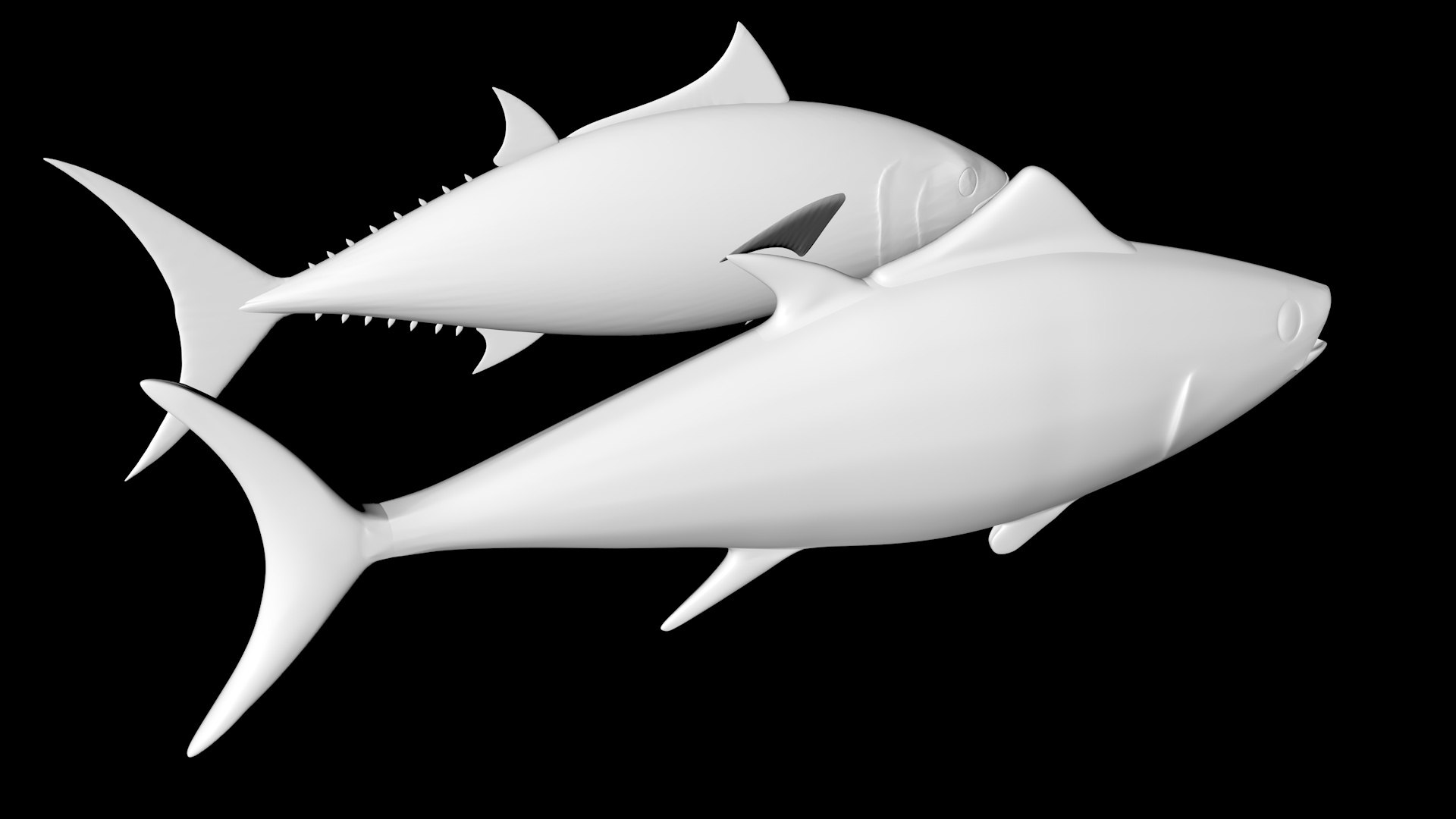 Tuna Fish 3D Model - TurboSquid 1690044