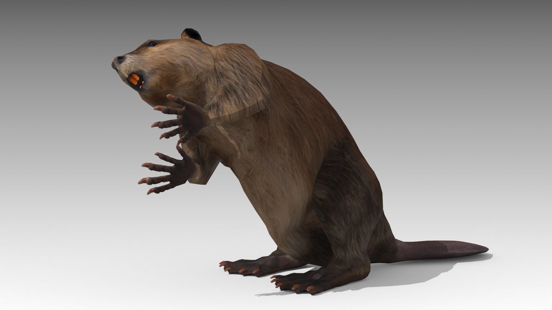 Beaver Animations 3D Model - TurboSquid 1333742