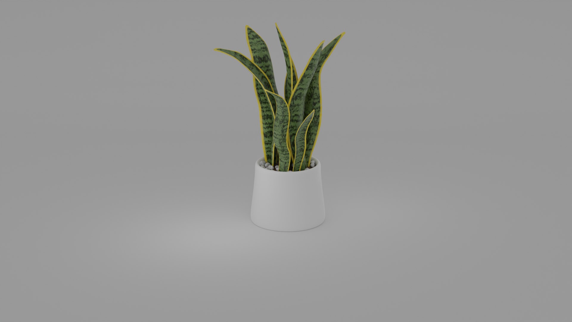Snake Plant 3D - TurboSquid 1831542