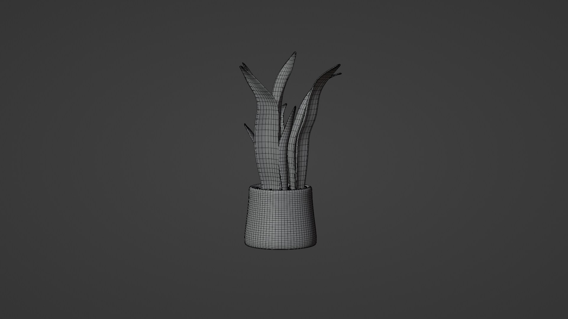 Snake Plant 3D - TurboSquid 1831542