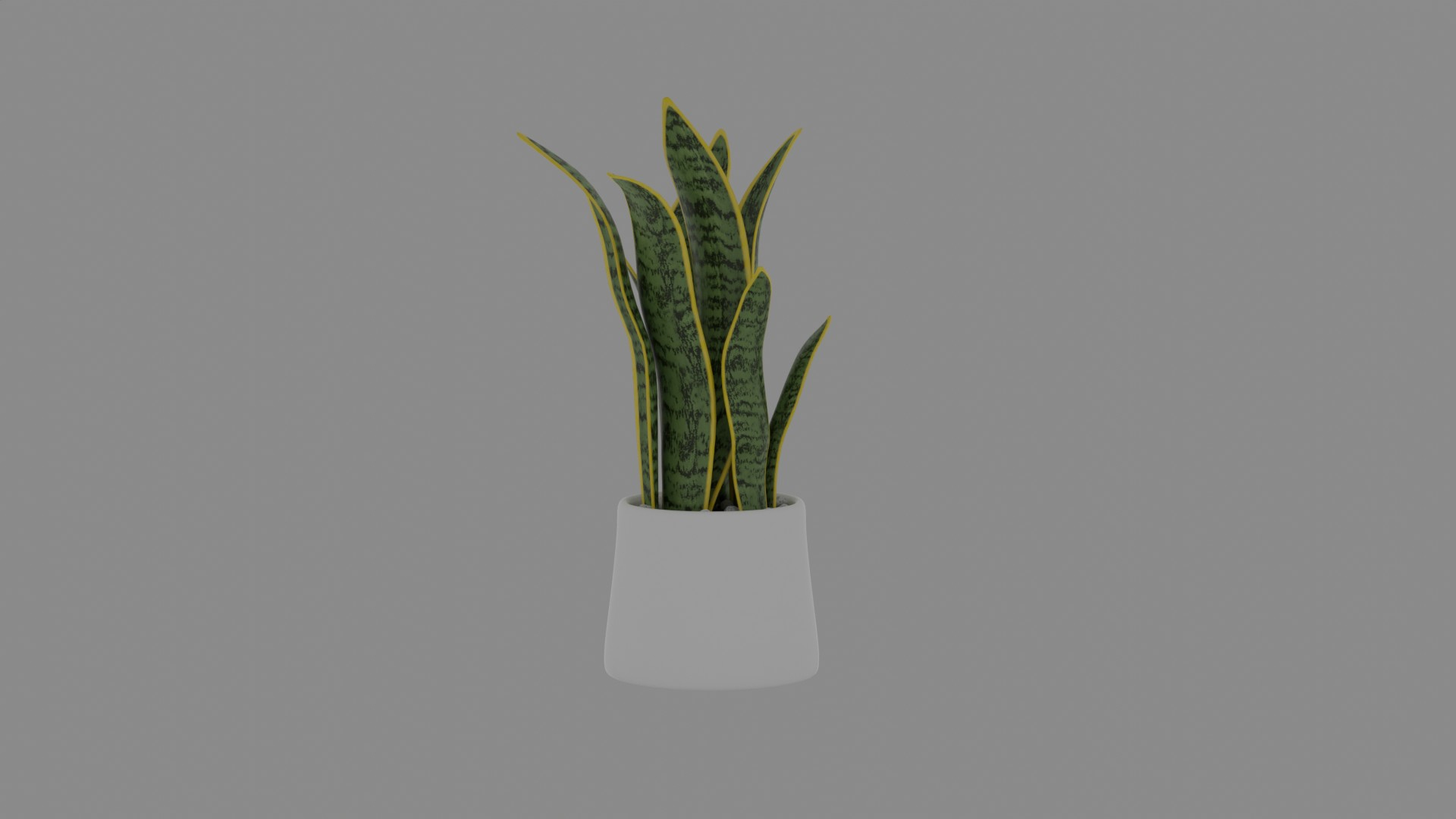Snake Plant 3D - TurboSquid 1831542