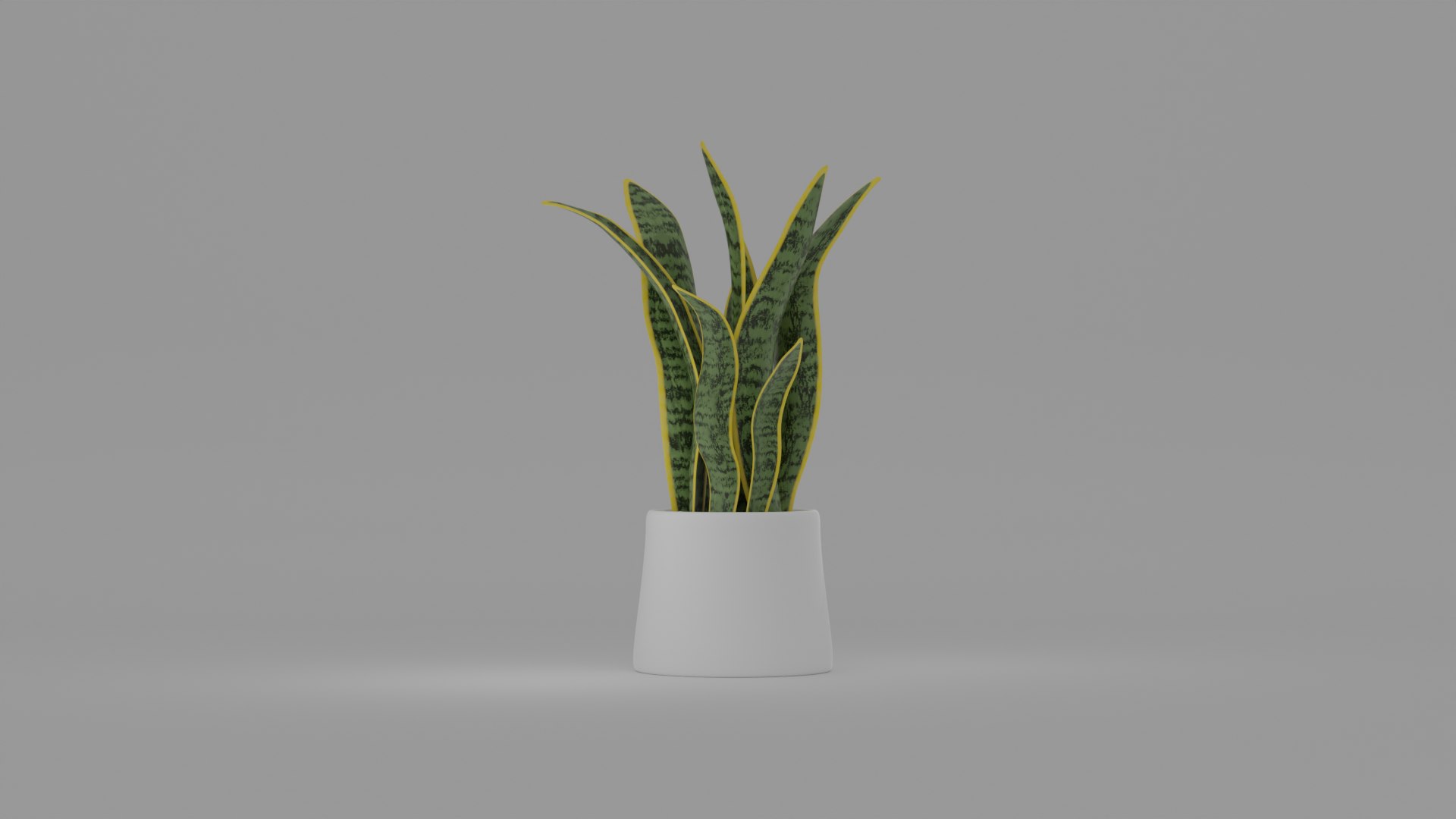 Snake Plant 3D - TurboSquid 1831542