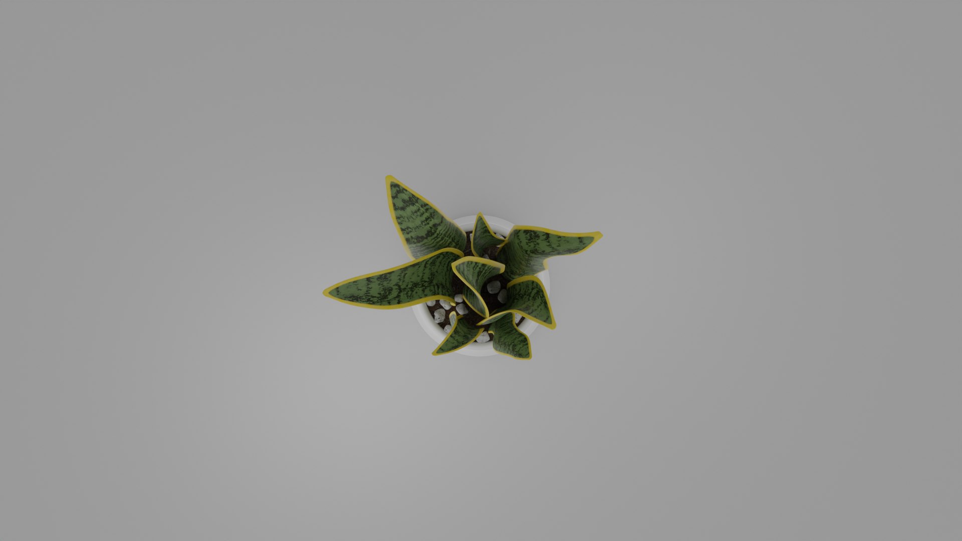 Snake Plant 3D - TurboSquid 1831542