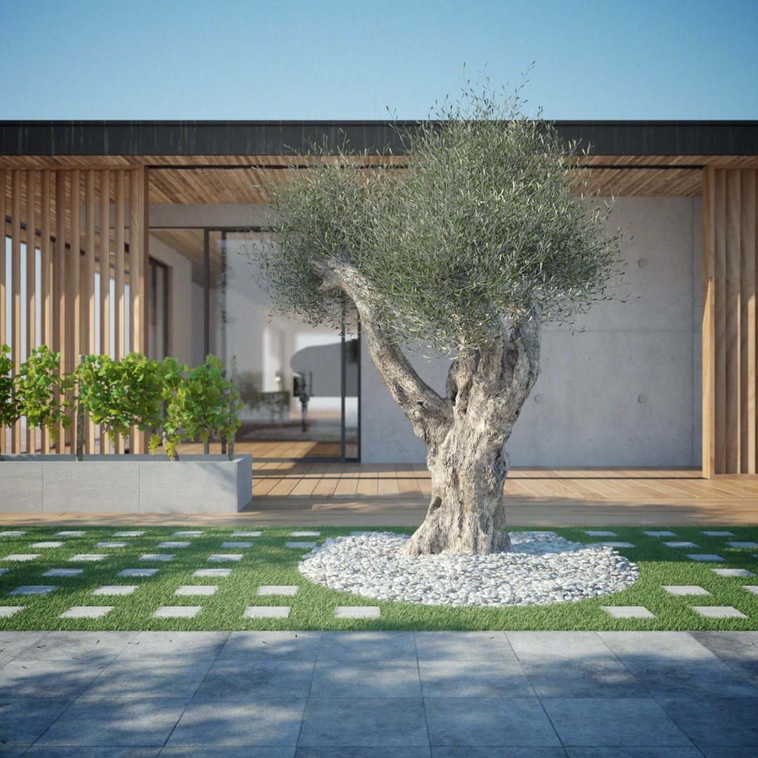 3dsmax Olive Tree