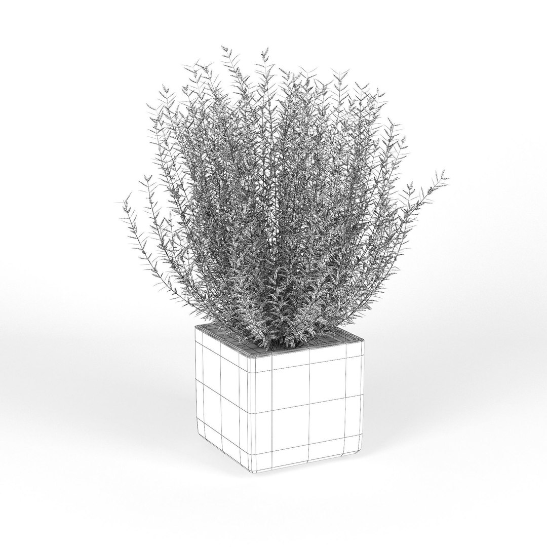 Bush file 3D model - TurboSquid 1711340