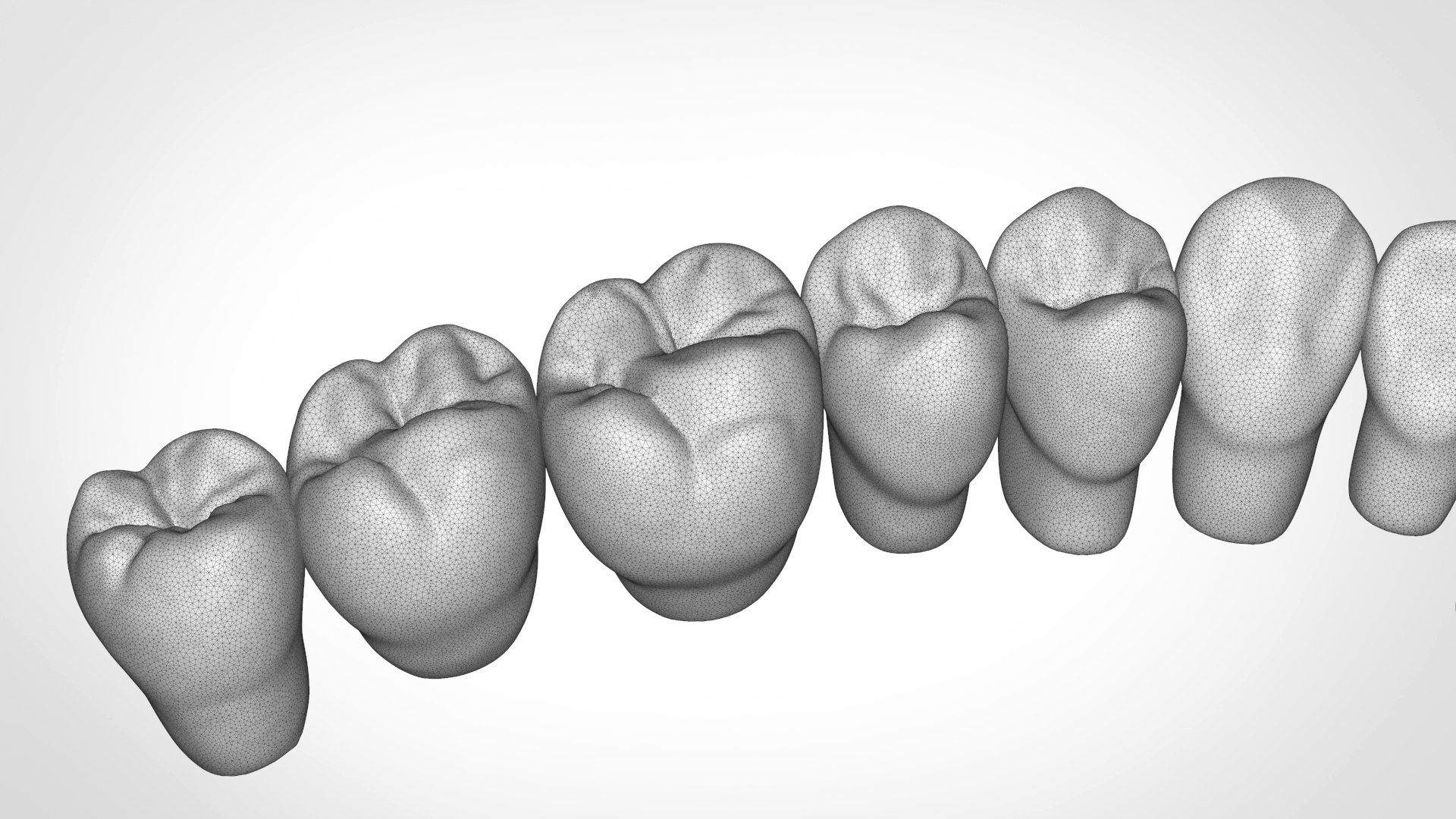 3D model dental anatomy library thimble - TurboSquid 1399859