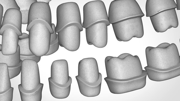 3D model dental anatomy library thimble - TurboSquid 1399859