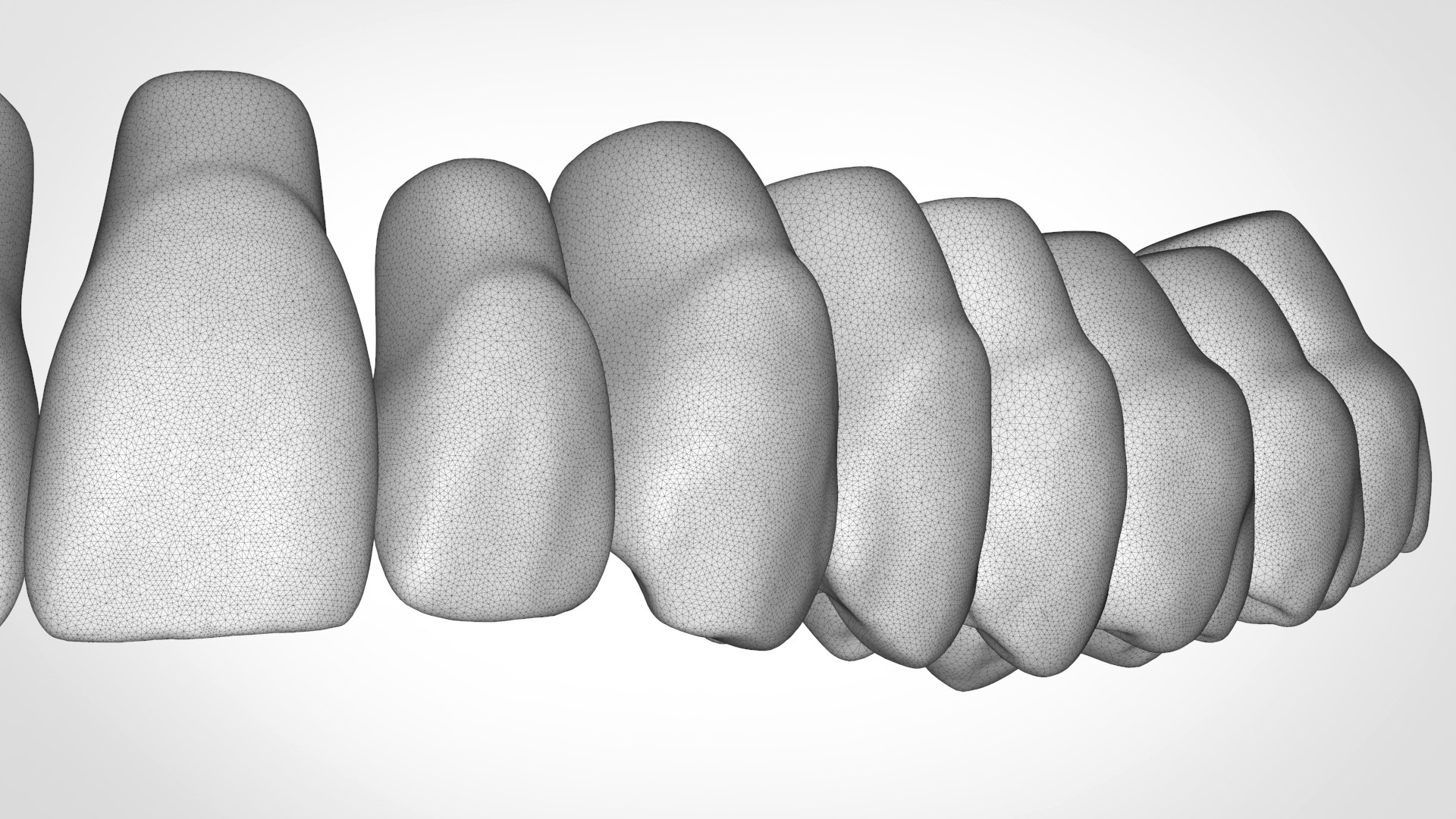 3D model dental anatomy library thimble - TurboSquid 1399859