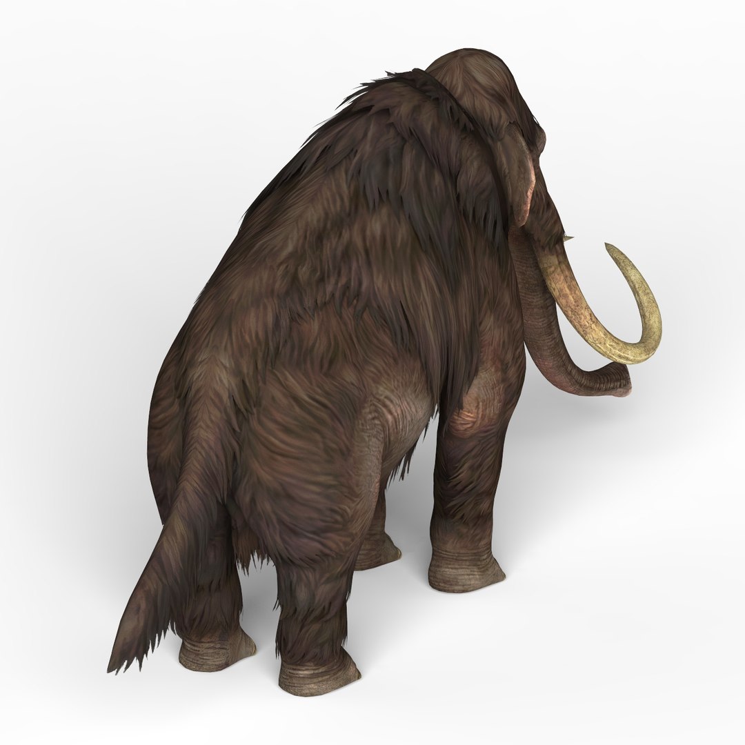 3D Model Mammoth Elephant - TurboSquid 1512450