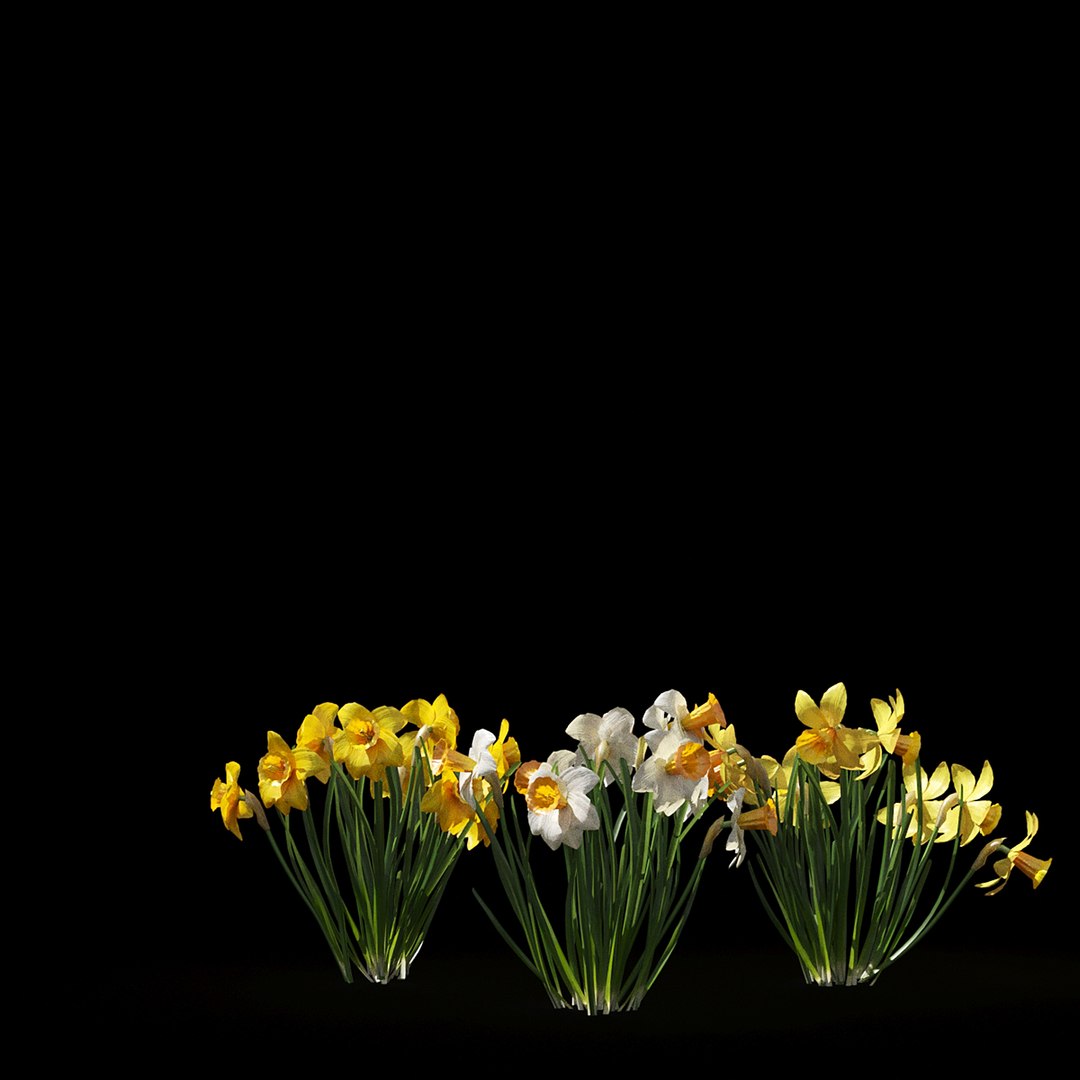 3D Spring flowers model - TurboSquid 1976209
