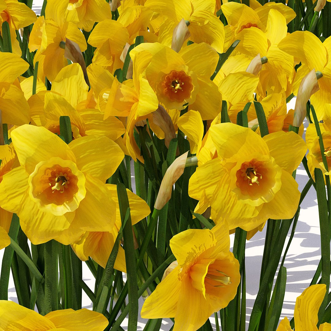 3D Spring flowers model - TurboSquid 1976209