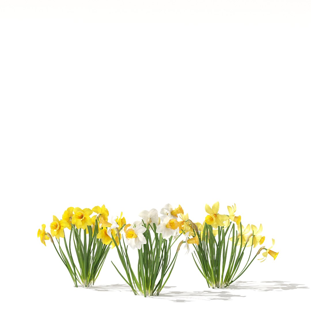3D Spring flowers model - TurboSquid 1976209