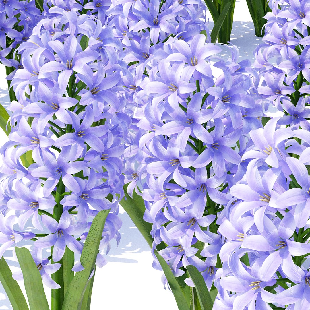 3D Spring flowers model - TurboSquid 1976209