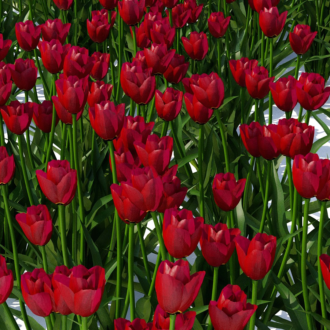 3D Spring flowers model - TurboSquid 1976209