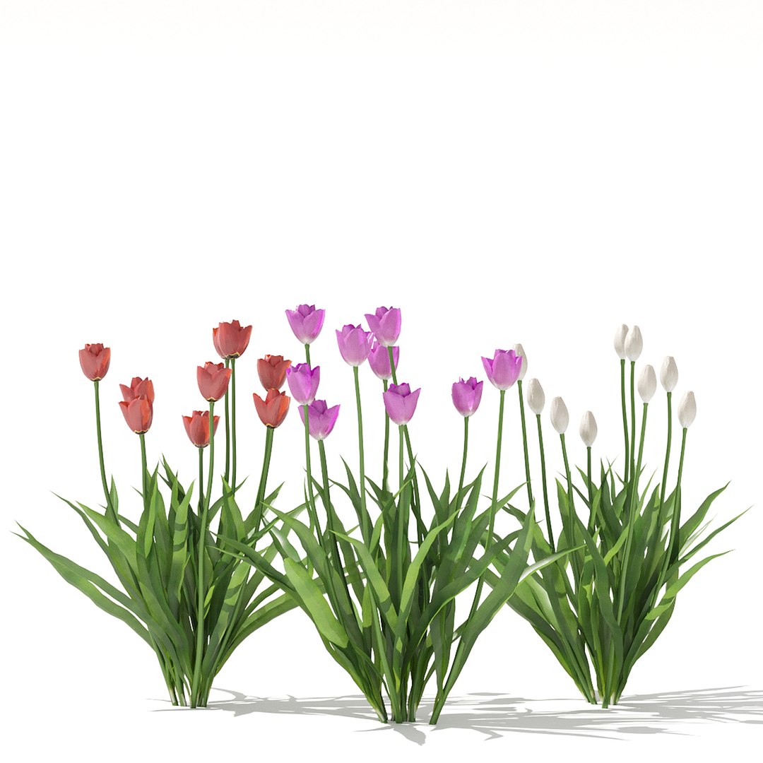 3D Spring flowers model - TurboSquid 1976209