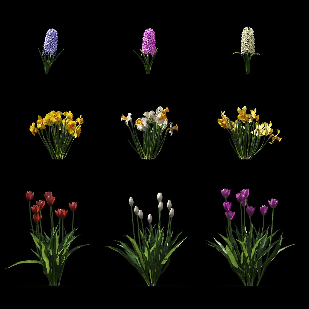 3D Spring flowers model - TurboSquid 1976209