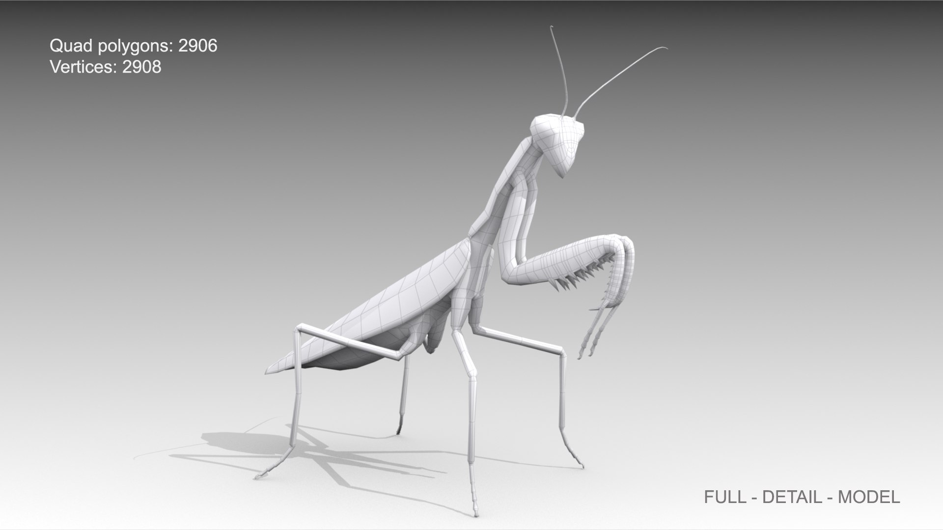 3D Insect Invertebrate Model - TurboSquid 1283373