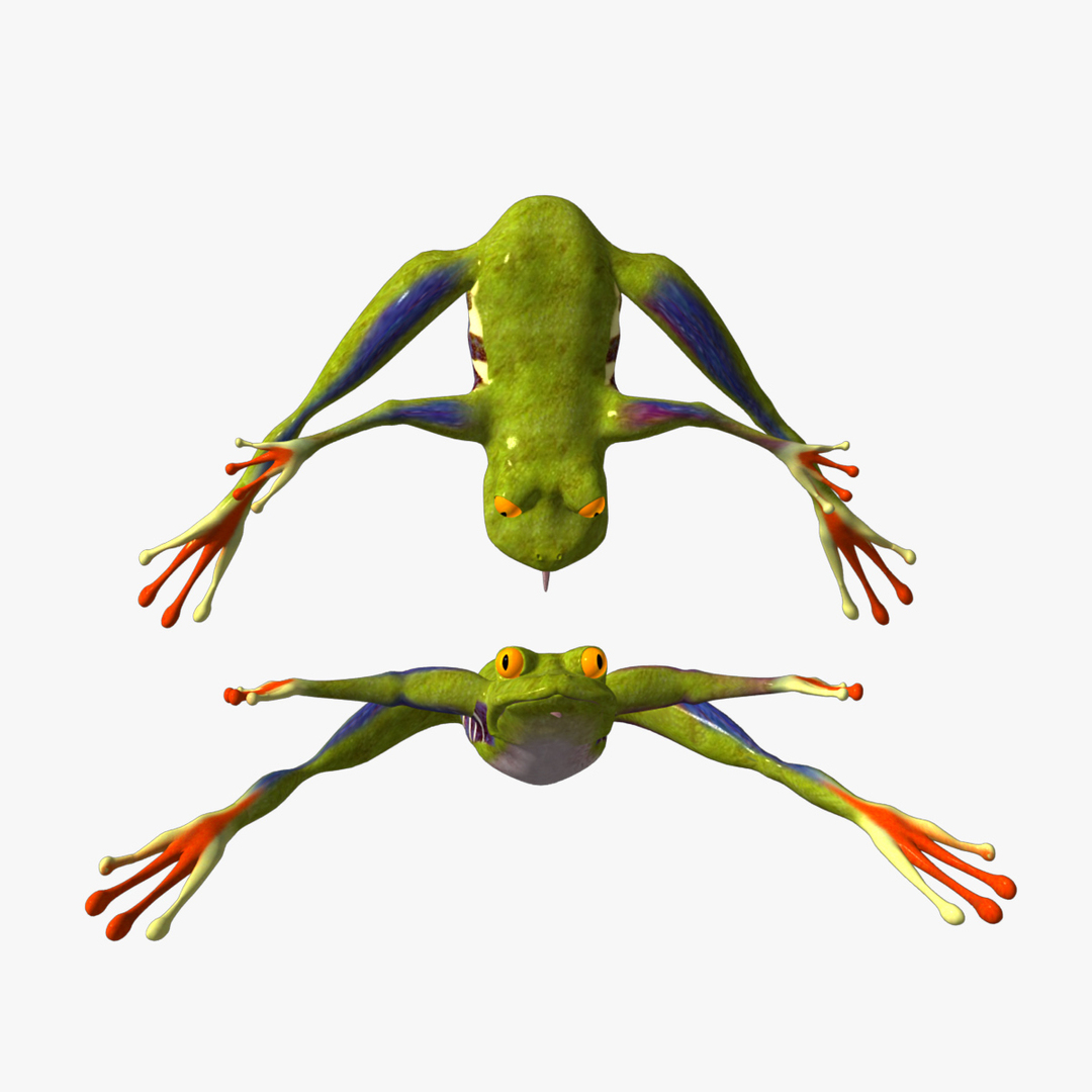 Tree Frog 3d Model