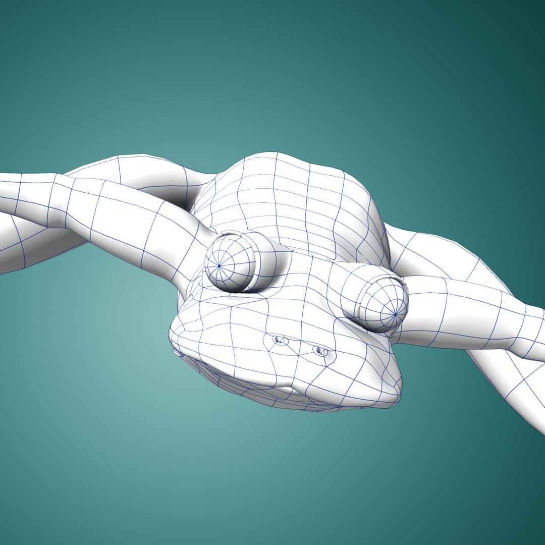 Tree Frog 3d Model