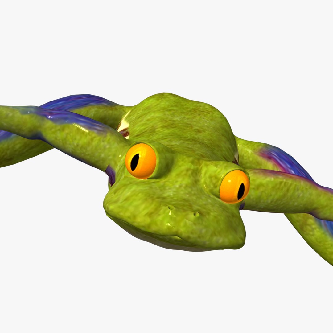 Tree Frog 3d Model