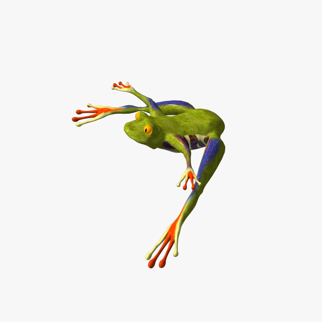 Tree Frog 3d Model