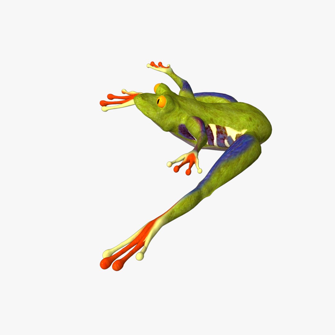 Tree Frog 3d Model
