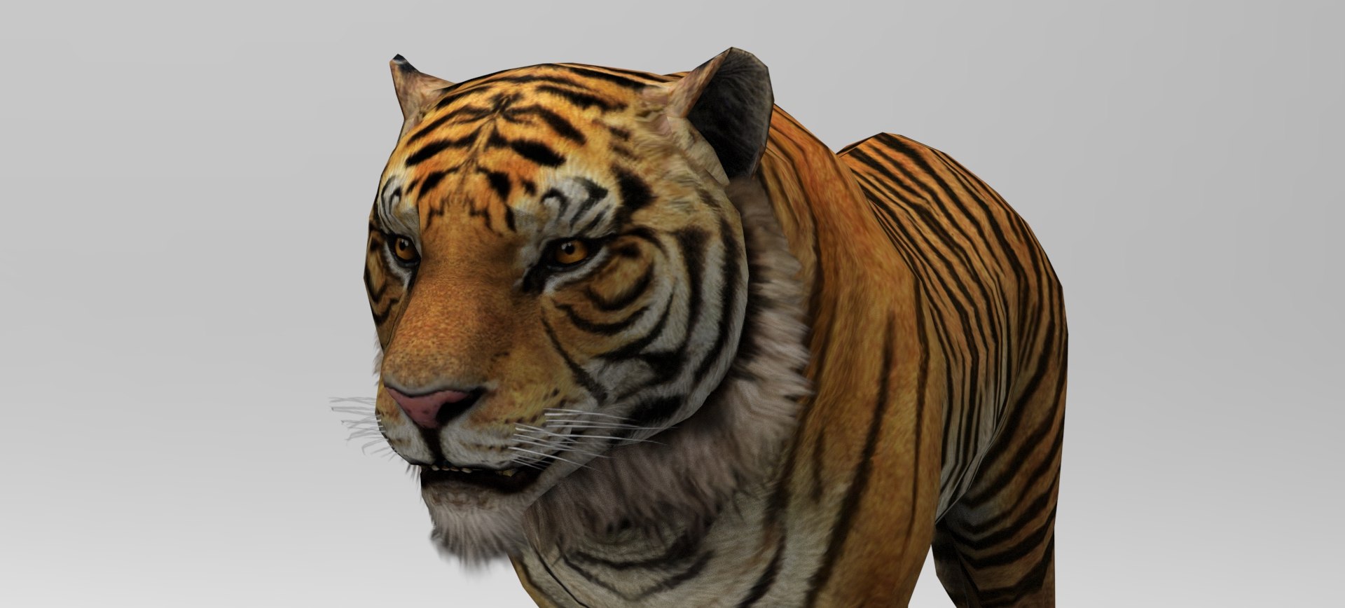 3D Tiger - Rigged - Animated - TurboSquid 2278593