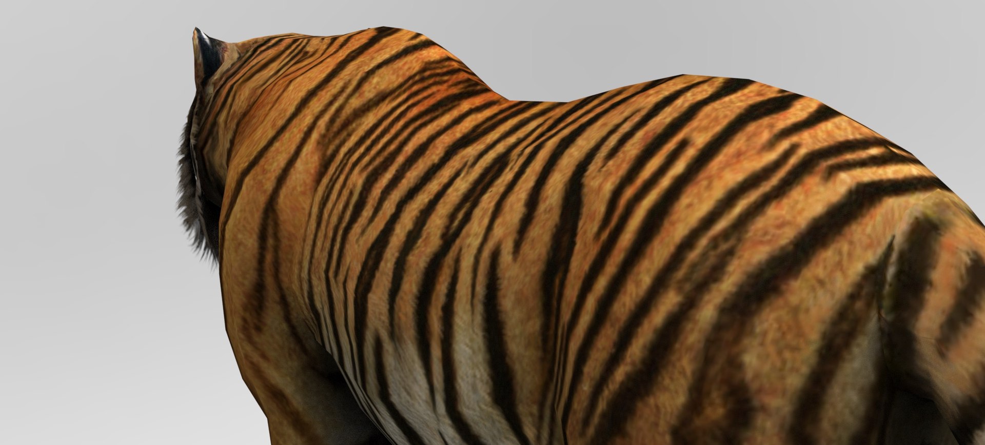 3D Tiger - Rigged - Animated - TurboSquid 2278593