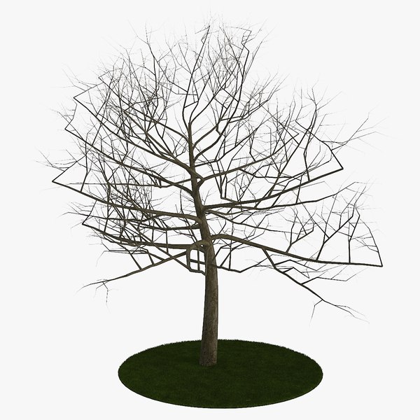 tree 6 branches 3d obj