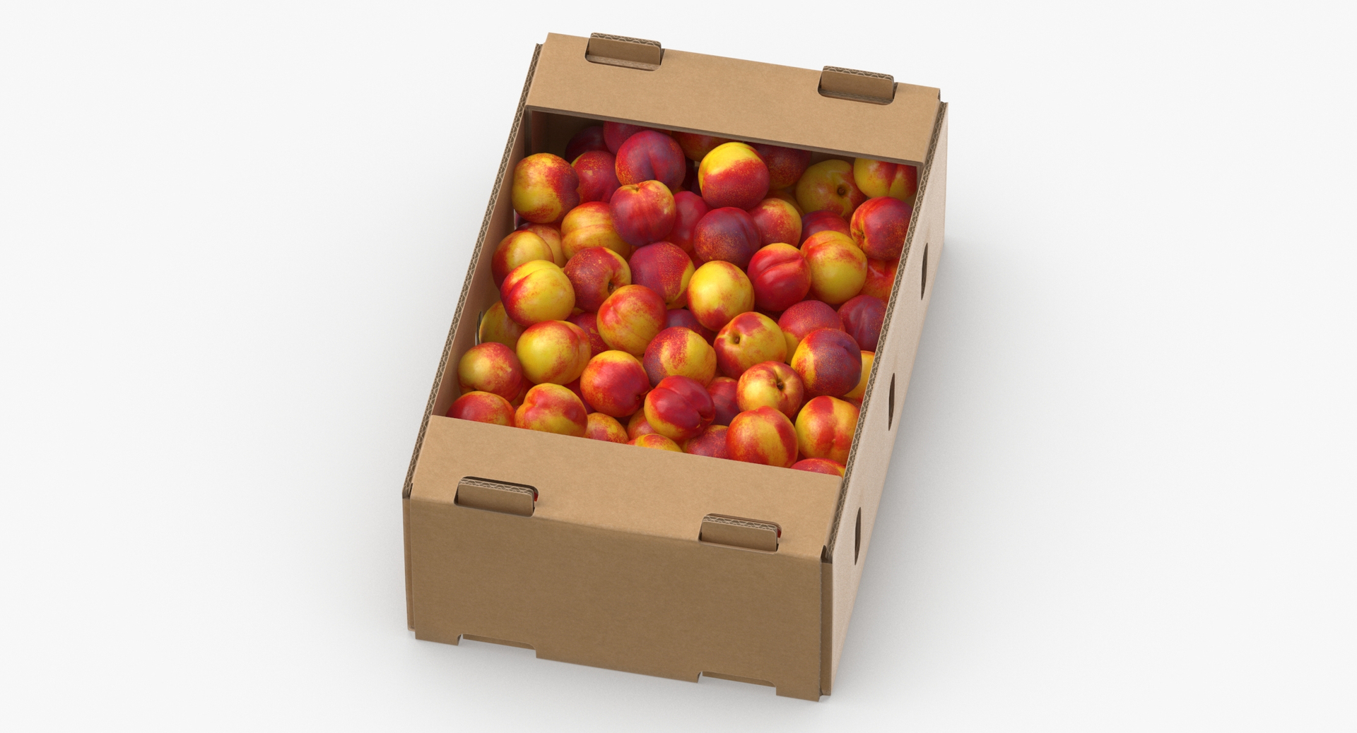 Cardboard Display Box Nectarines Model - TurboSquid 1469095