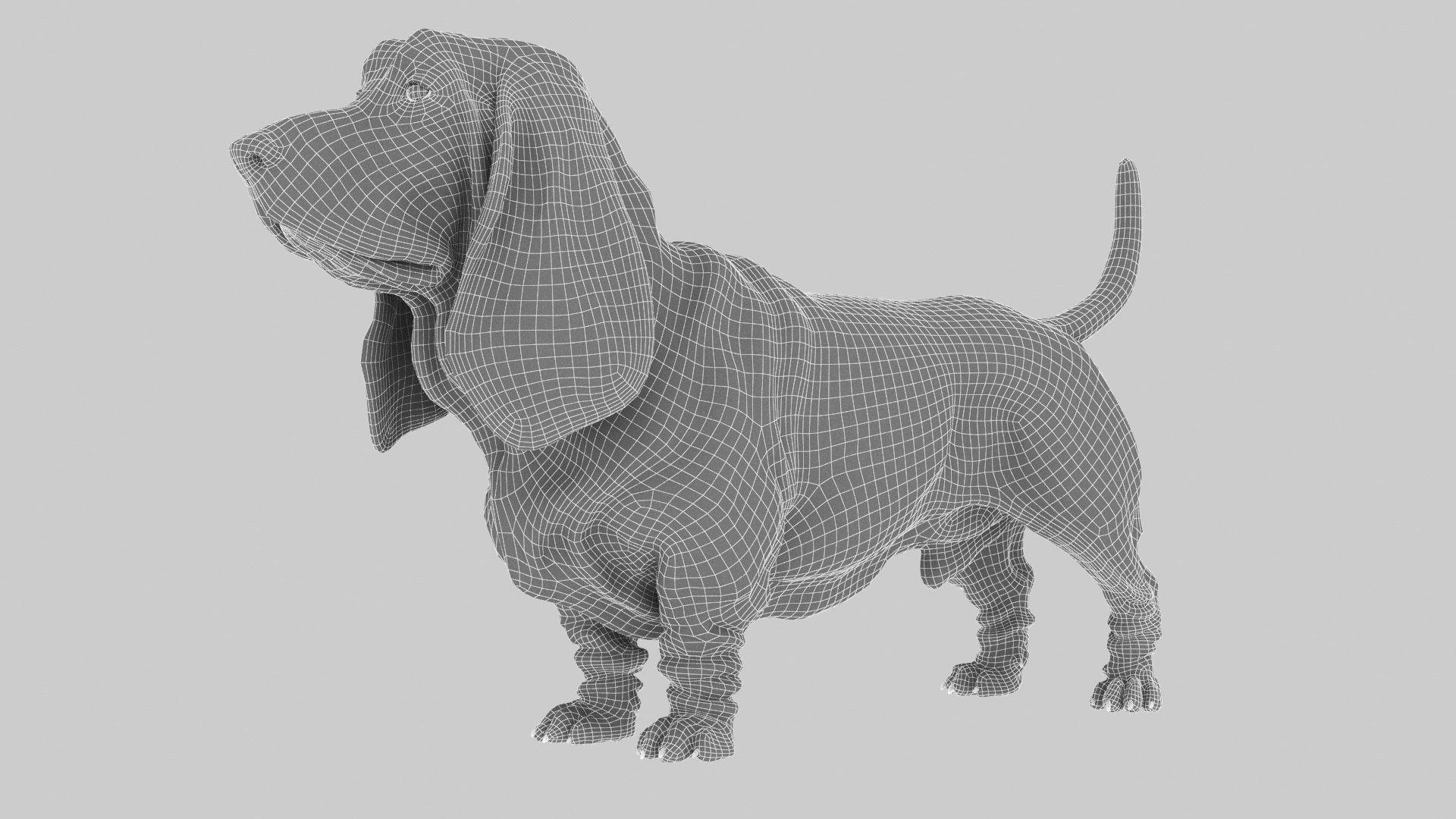 Basset hound dog 3D model - TurboSquid 1668222