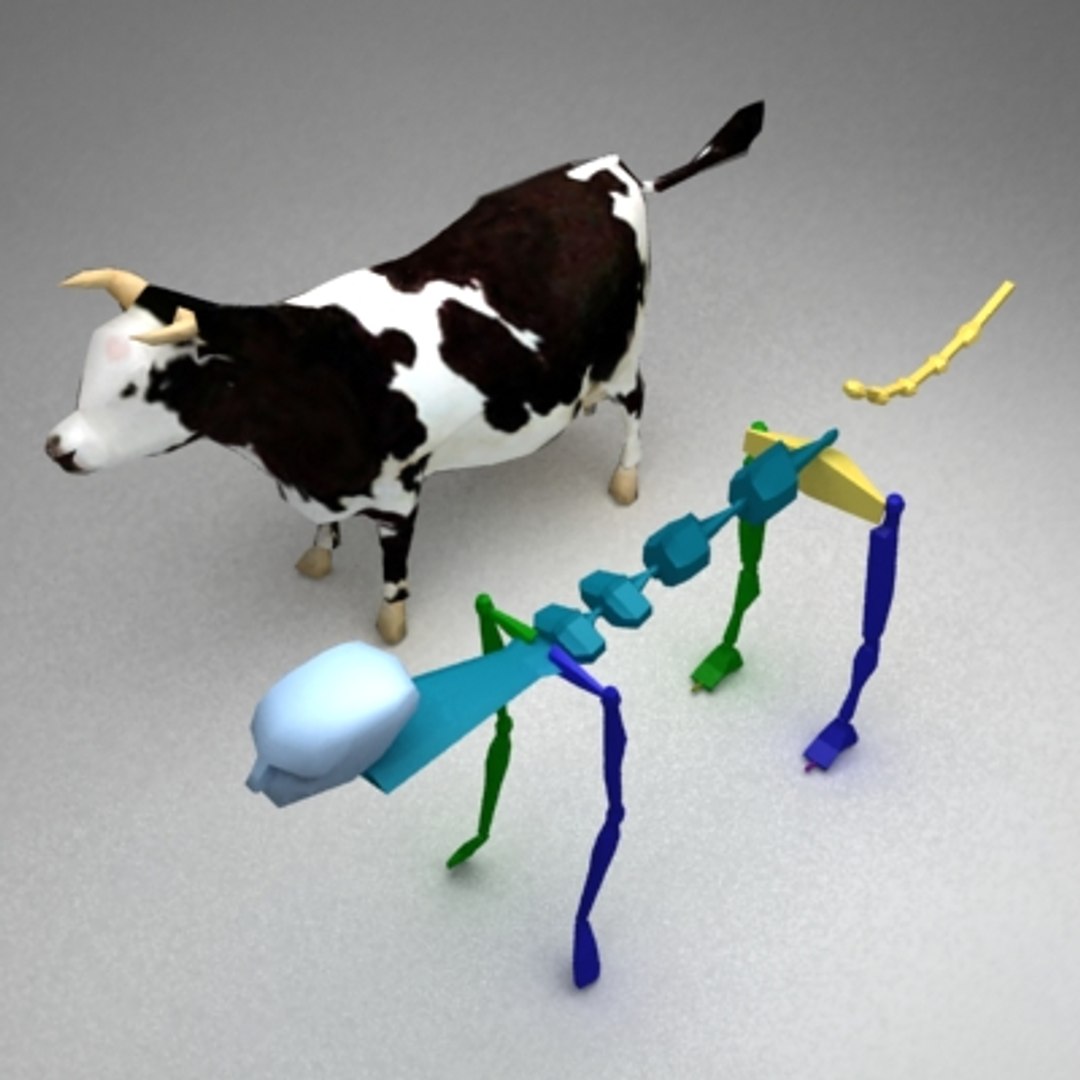 Cow Animation 3d Model