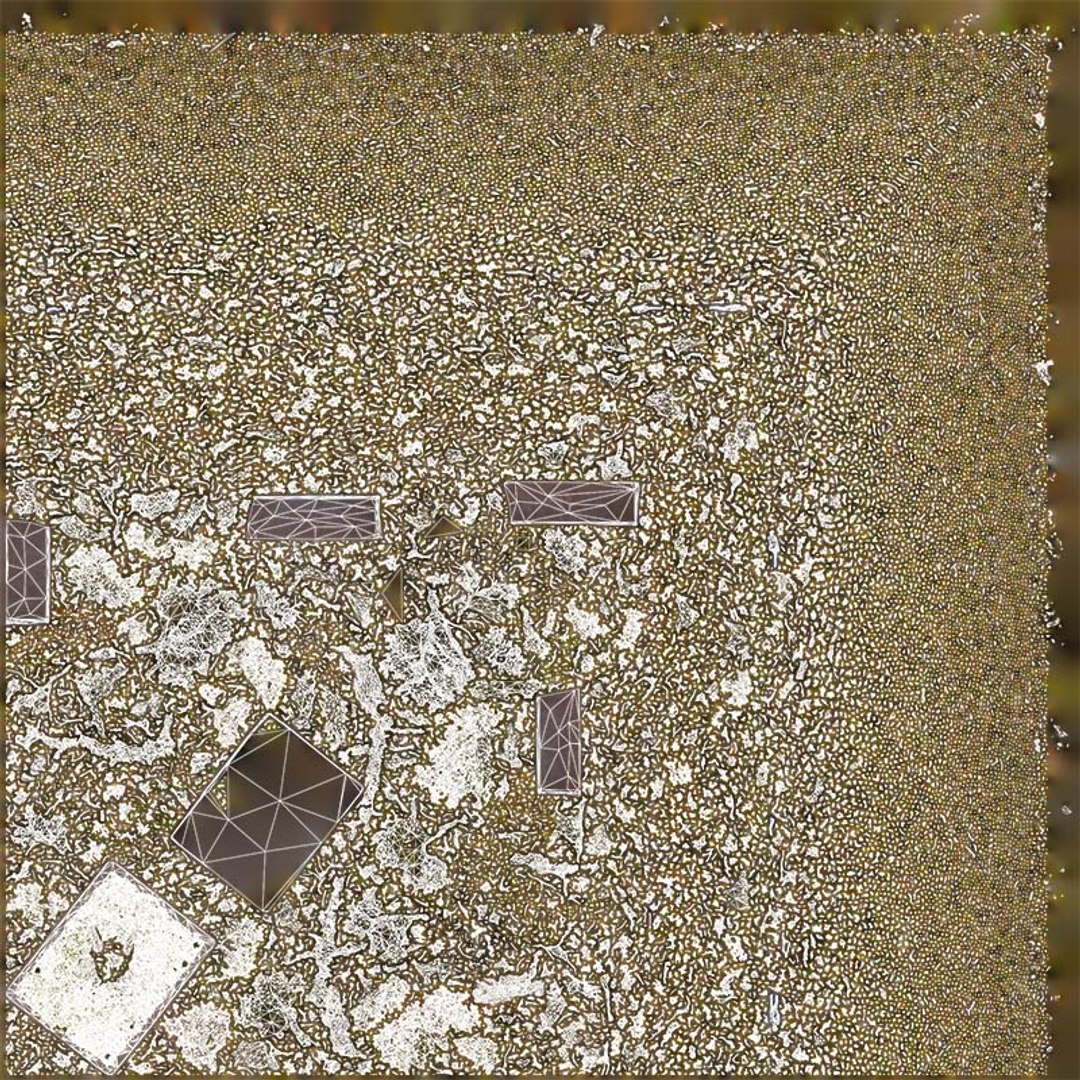 3D Model Satsuki Kinsai 2 Bonsai Tree Remastered - TurboSquid 2363120