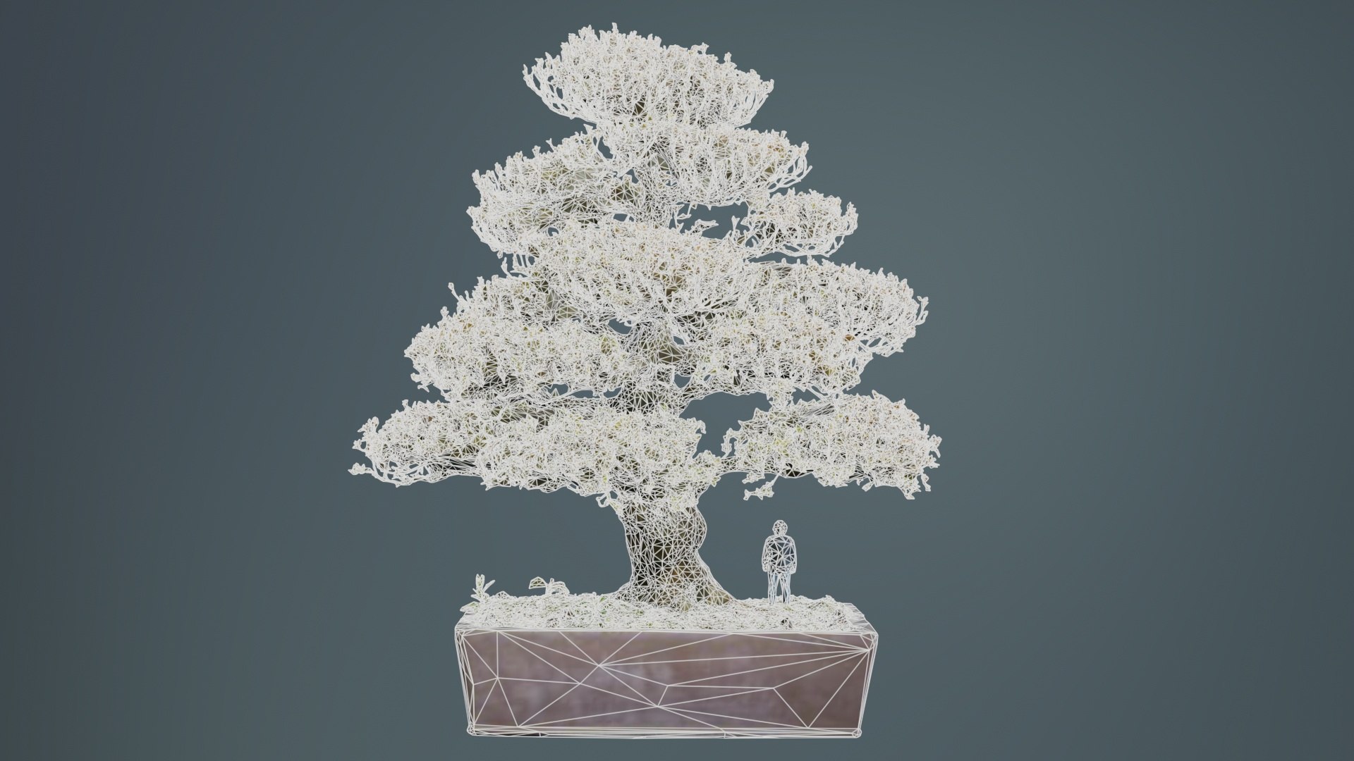 3D Model Satsuki Kinsai 2 Bonsai Tree Remastered - TurboSquid 2363120