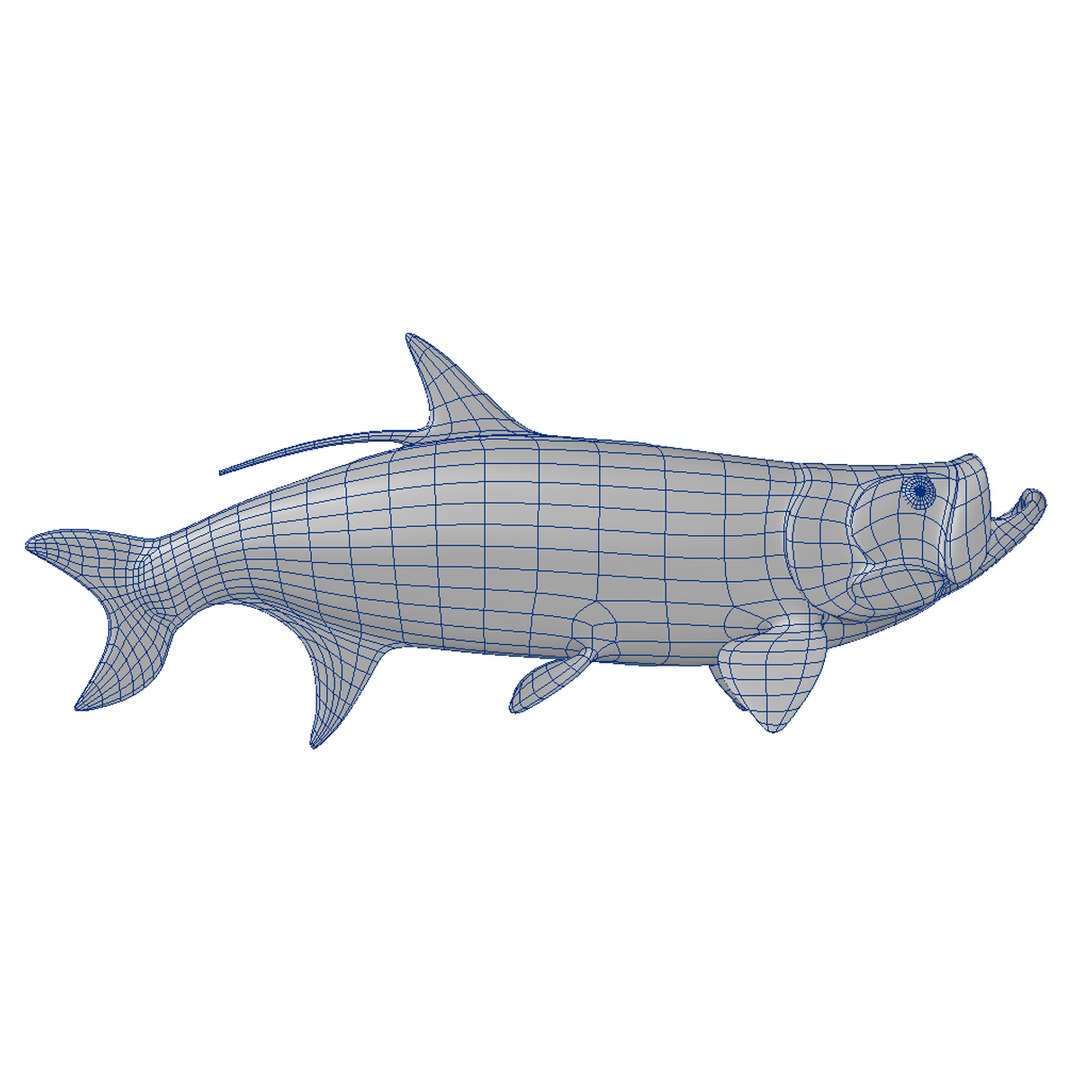 3d Model Tarpon