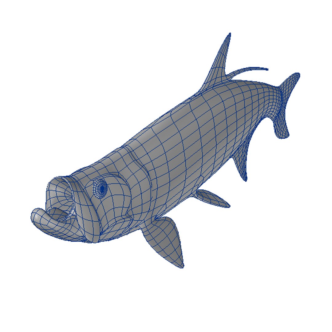 3d Model Tarpon