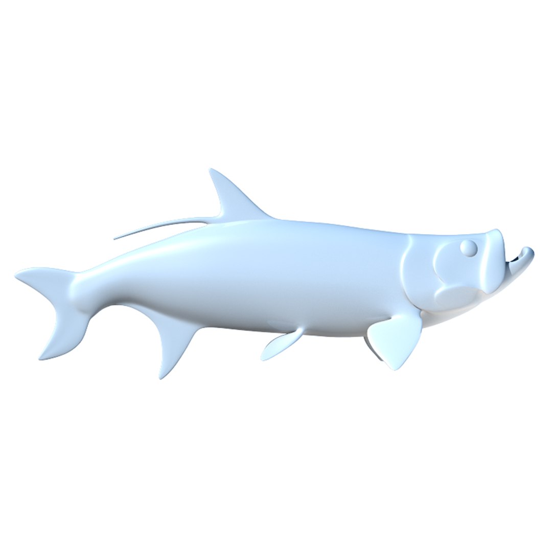 3d Model Tarpon