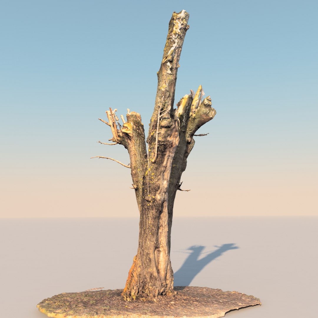 3d Tree Model