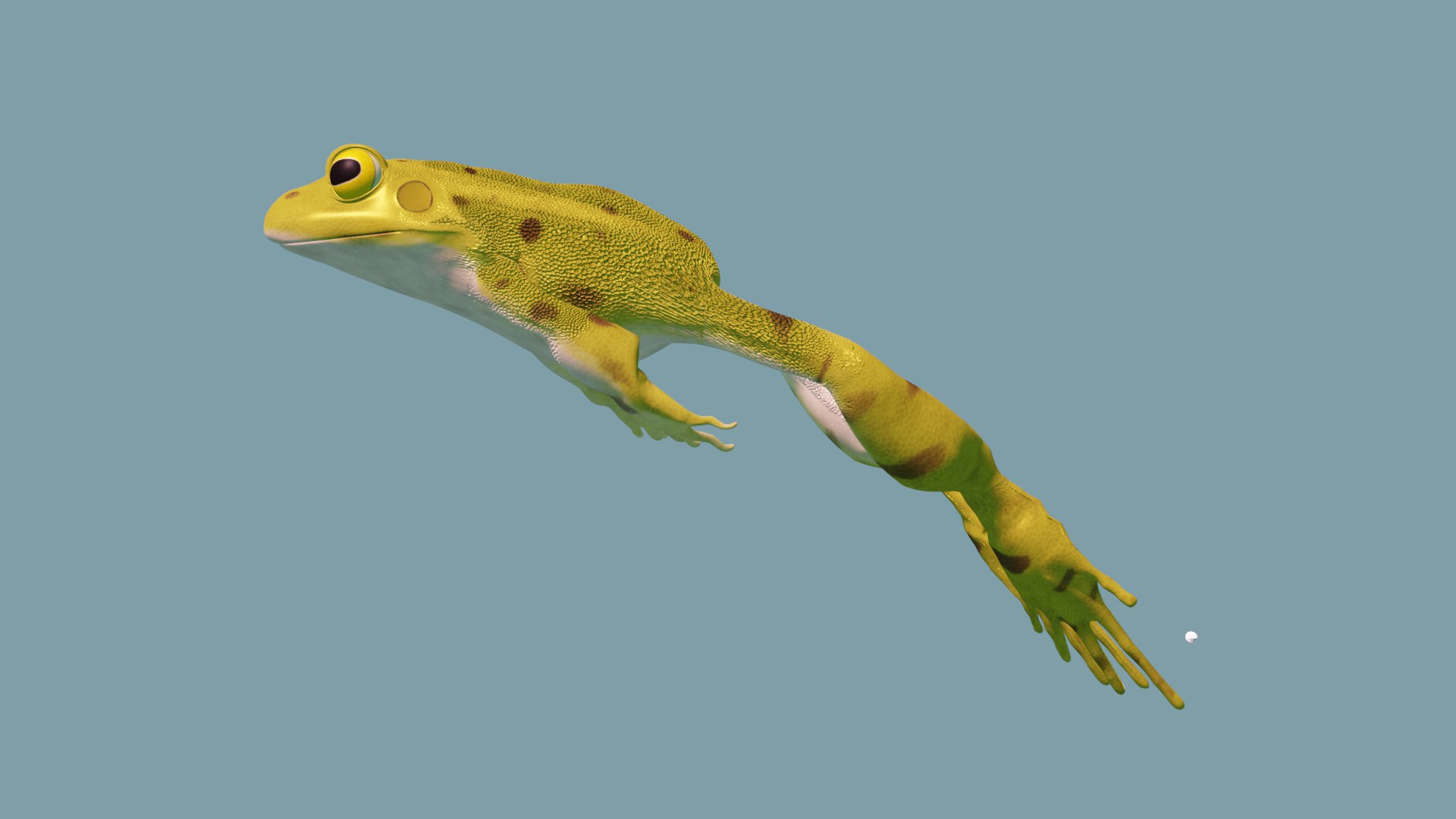 3D FROG - TurboSquid 1915938