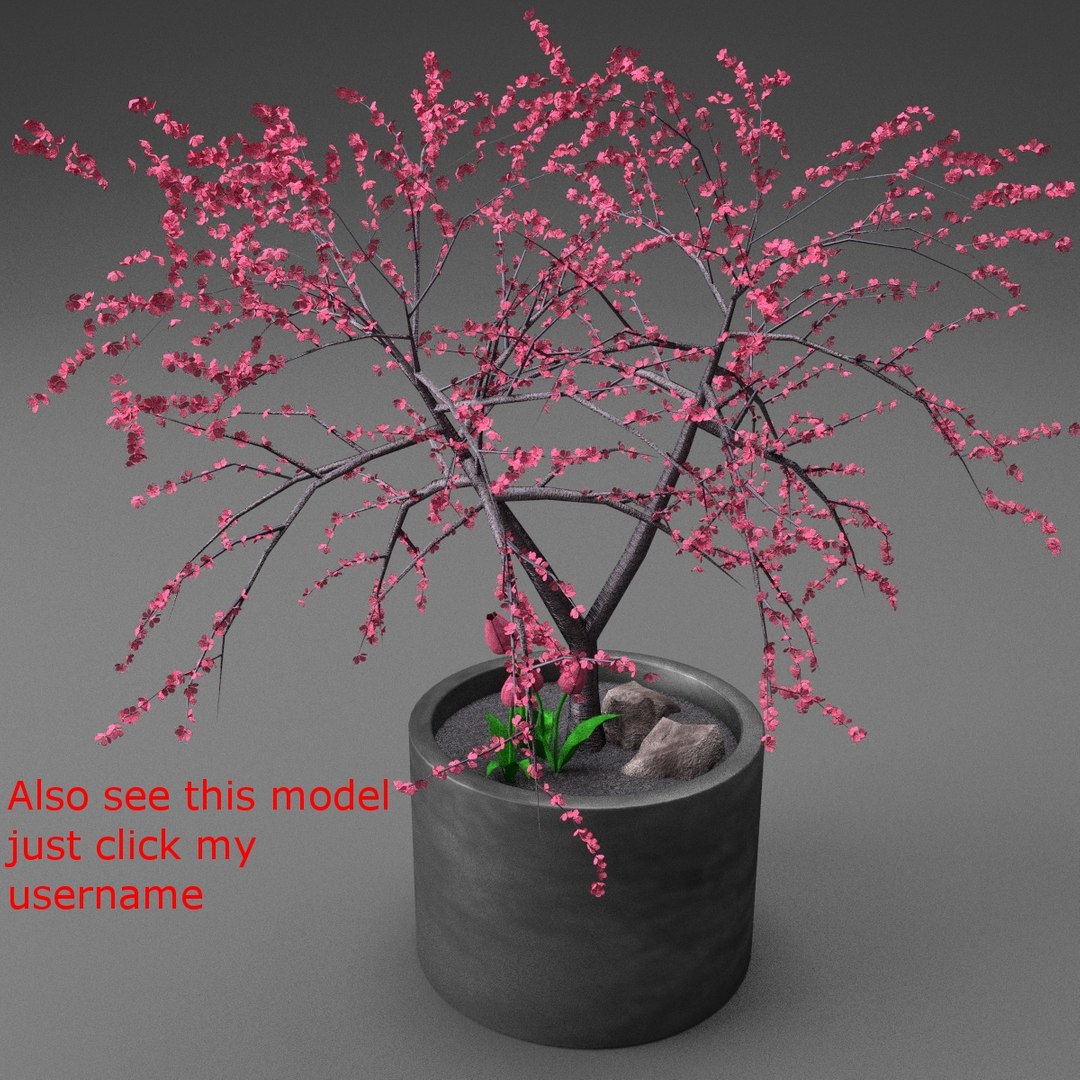 3d Model Park Cherry Blossom