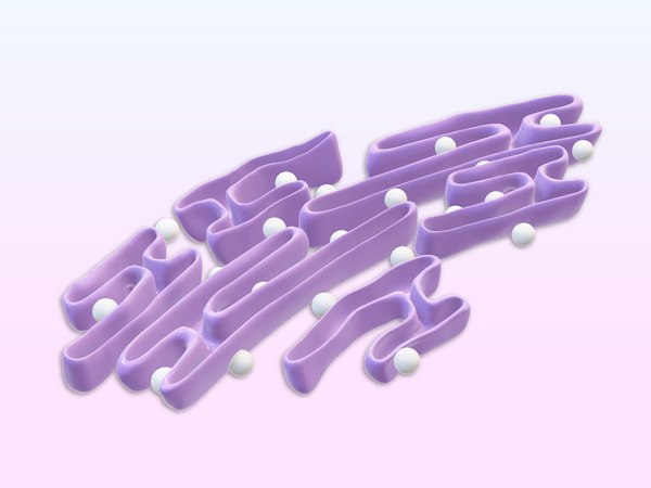 Free 3D Biology Models | TurboSquid