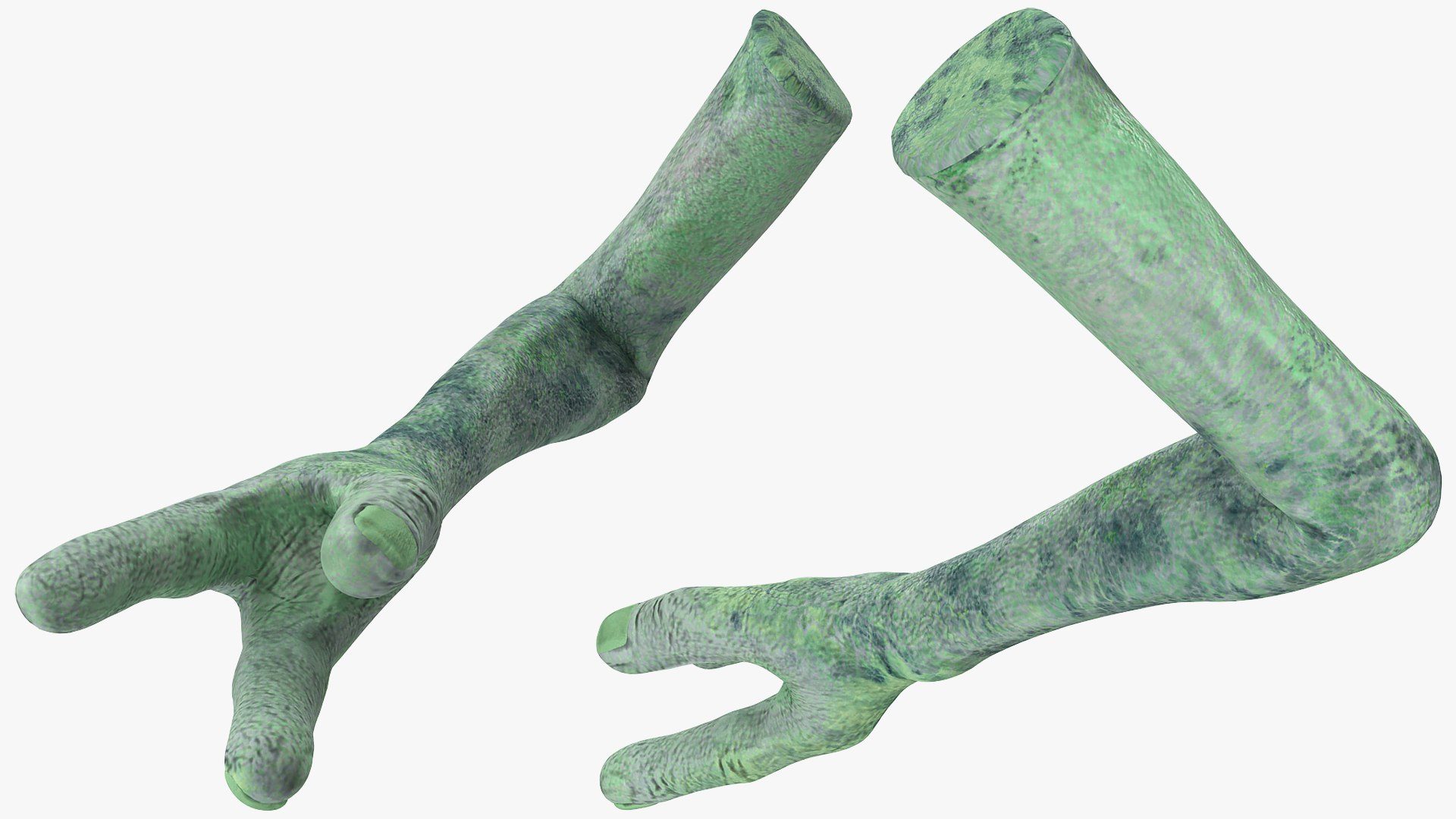 3D Green Alien Arm Model - TurboSquid 1628907
