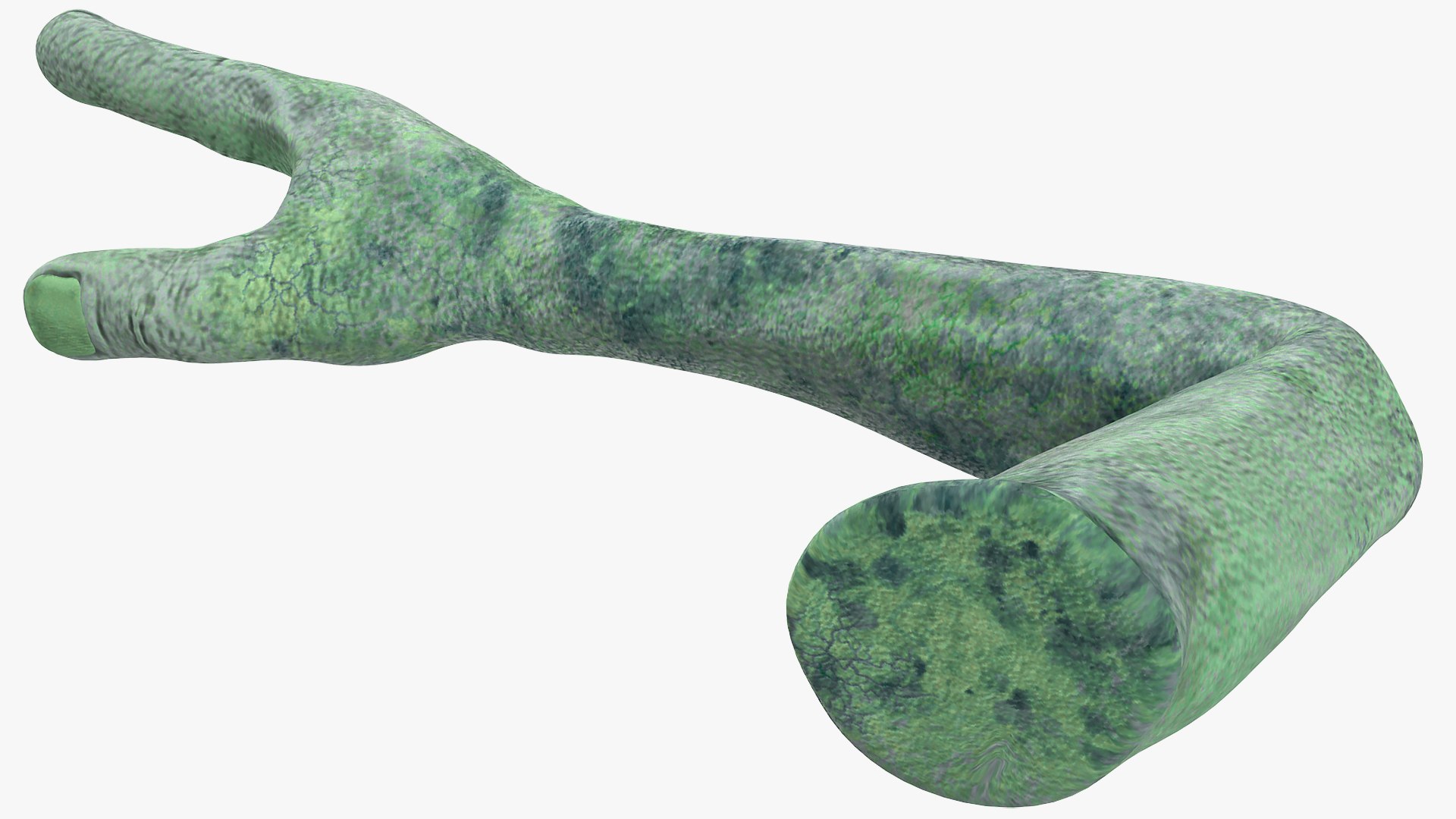 3D Green Alien Arm Model - TurboSquid 1628907