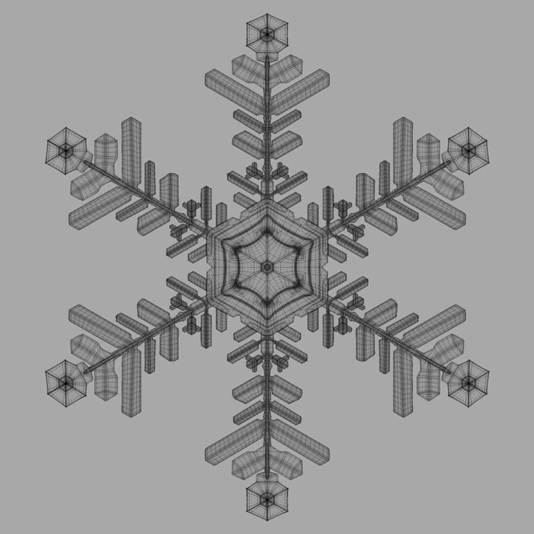 Snowflake Snow 3d Model